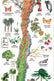 FLORA Y FAUNA - MAPA DESPLEGABLE – TOURMAPS Mapas educativos ilustrados ...