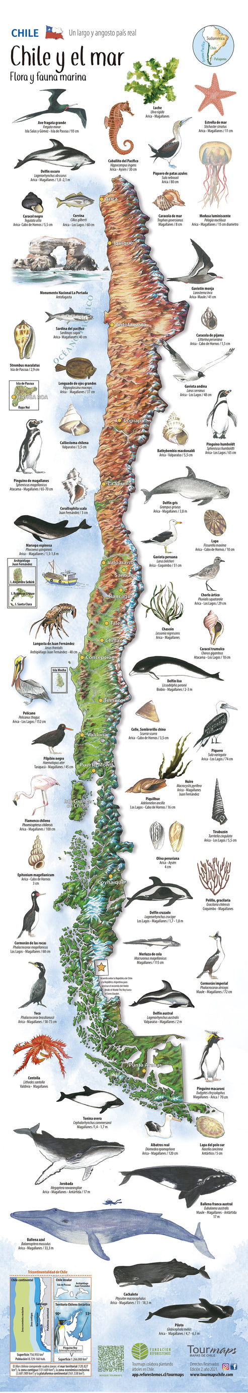 CHILE Y EL MAR - MAPA DESPLEGABLE – TOURMAPS Mapas educativos ...