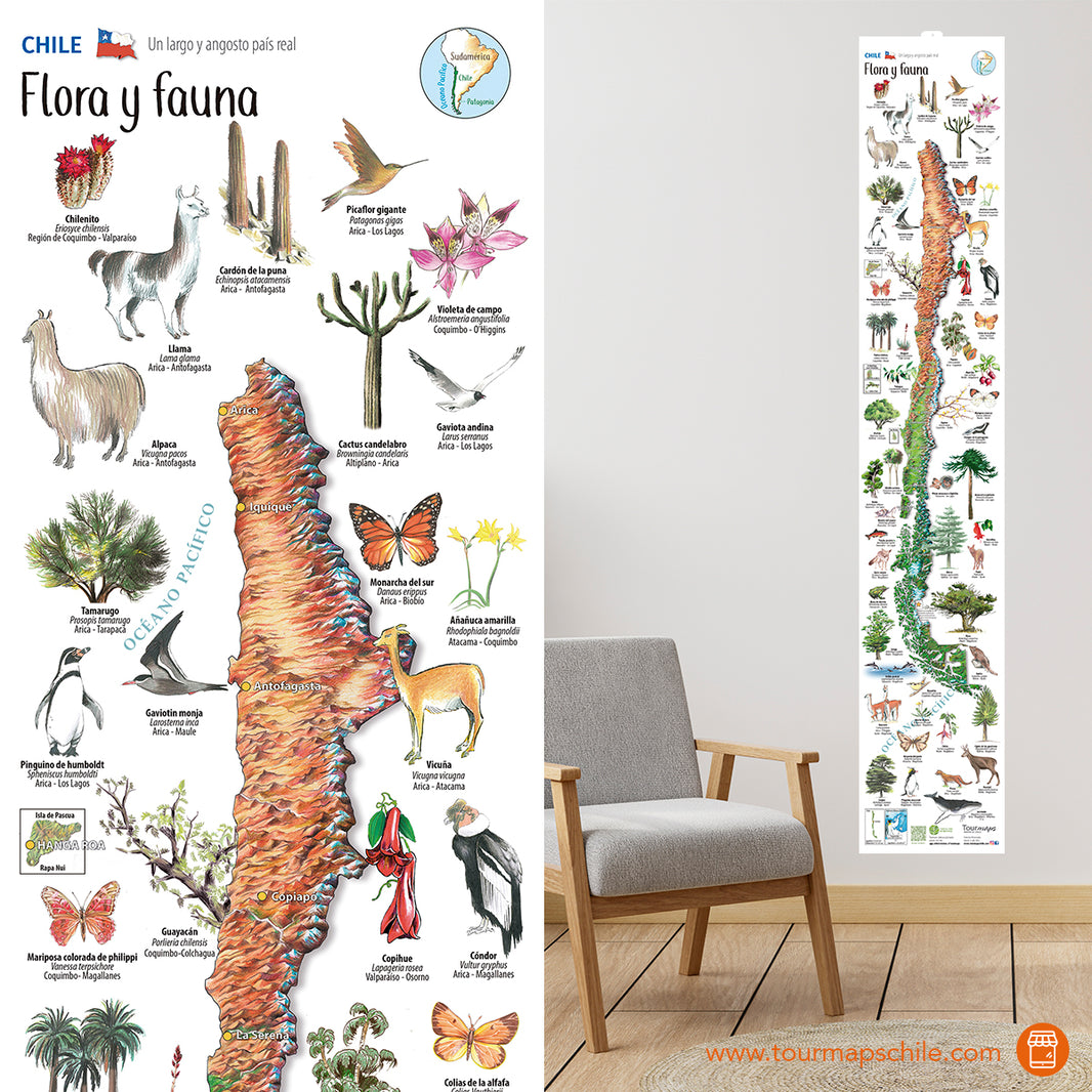 Tourmaps Mapas educativos ilustrados de Chile – TOURMAPS Mapas ...