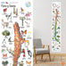 FLORA Y FAUNA - MAPA DESPLEGABLE – TOURMAPS Mapas educativos ilustrados ...