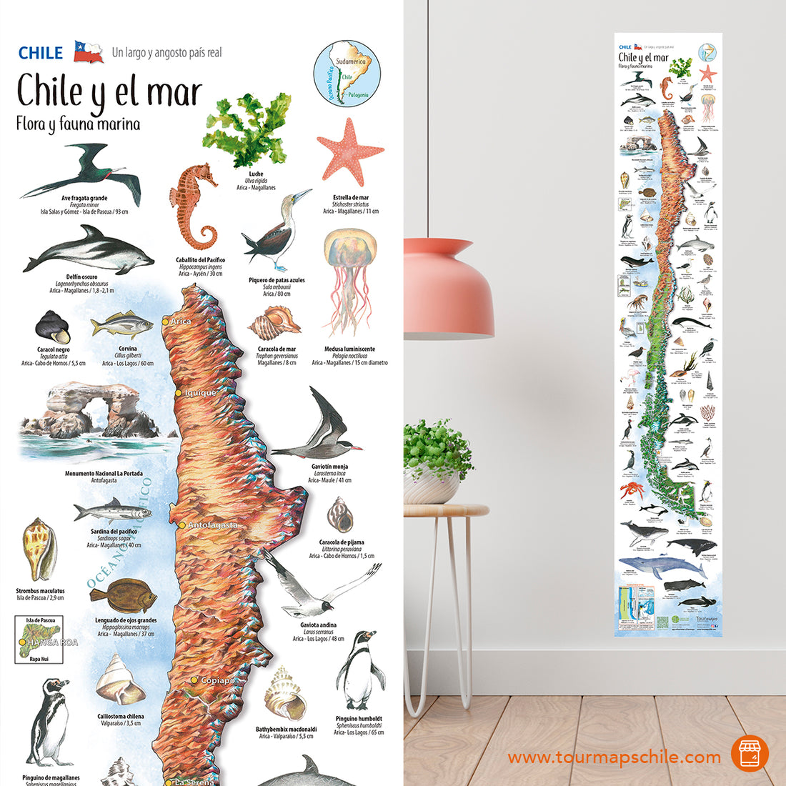 CHILE Y EL MAR - MAPA DESPLEGABLE – TOURMAPS Mapas educativos ...